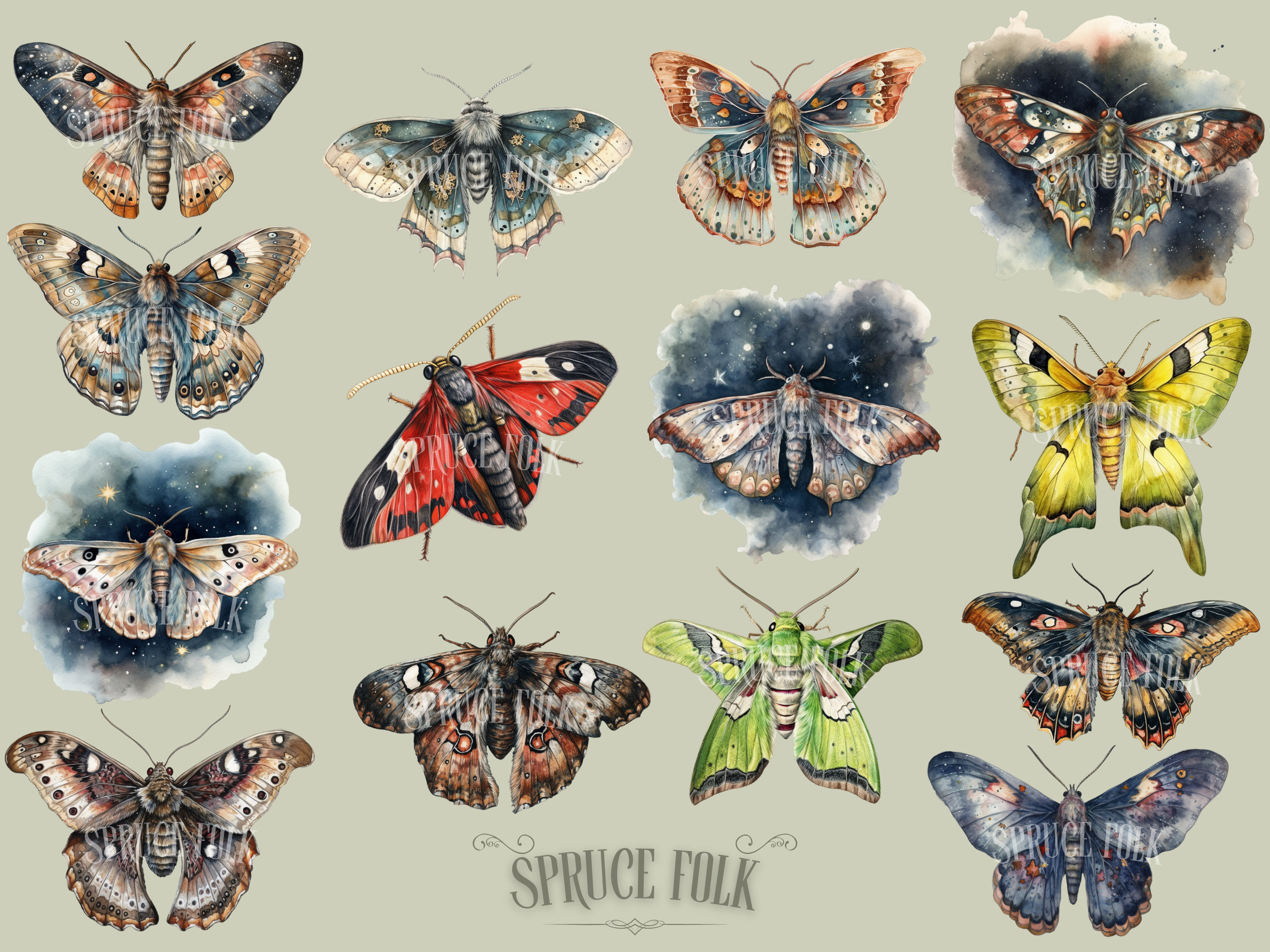 Watercolor Moth Themed Clipart Collection of 70 Moonlit Moths ...