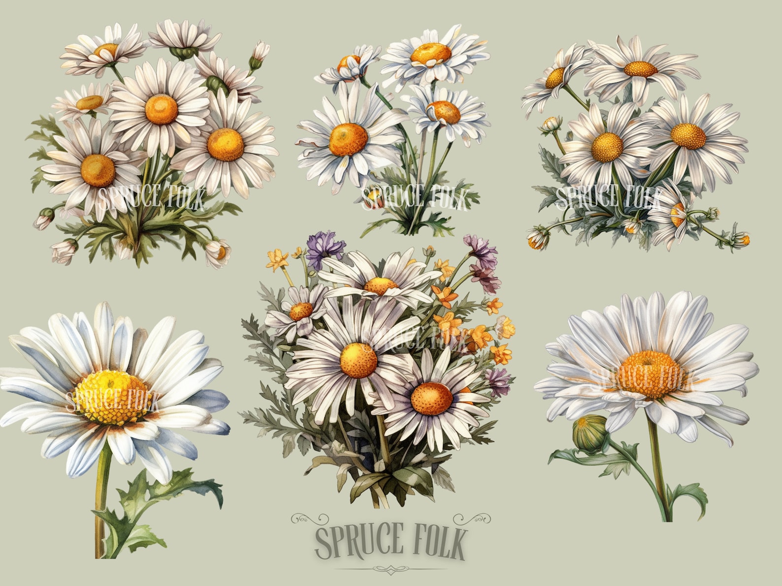 Watercolor Daisy Themed Clipart | Collection of 20 | Daisy Delight ...