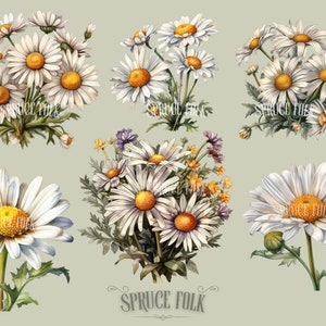 Watercolor Daisy Themed Clipart | Collection of 20 | Daisy Delight ...