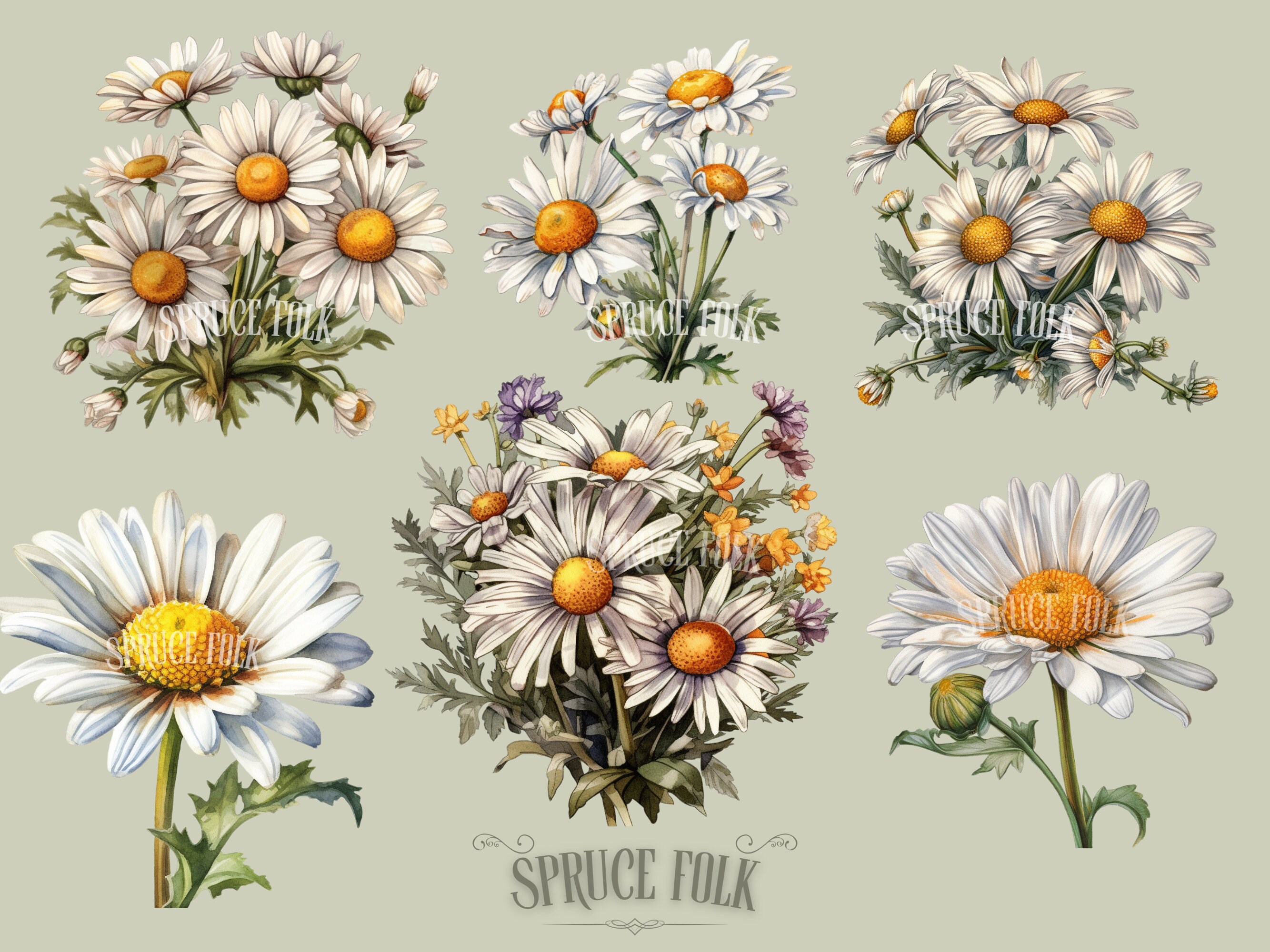 Watercolor Daisy Themed Clipart | Collection of 20 | Daisy Delight ...