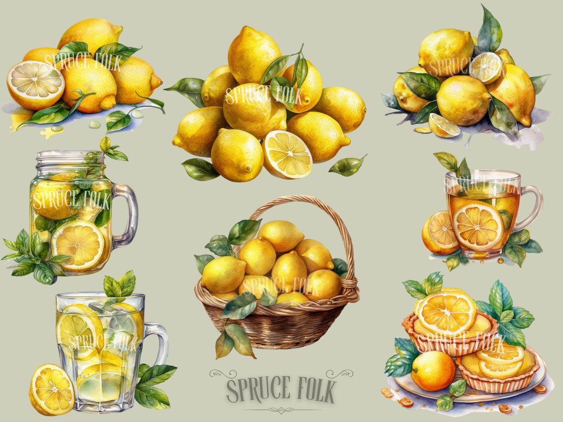 Watercolor Lemon Themed Clipart Collection of 50 Lemon Bliss Collection ...