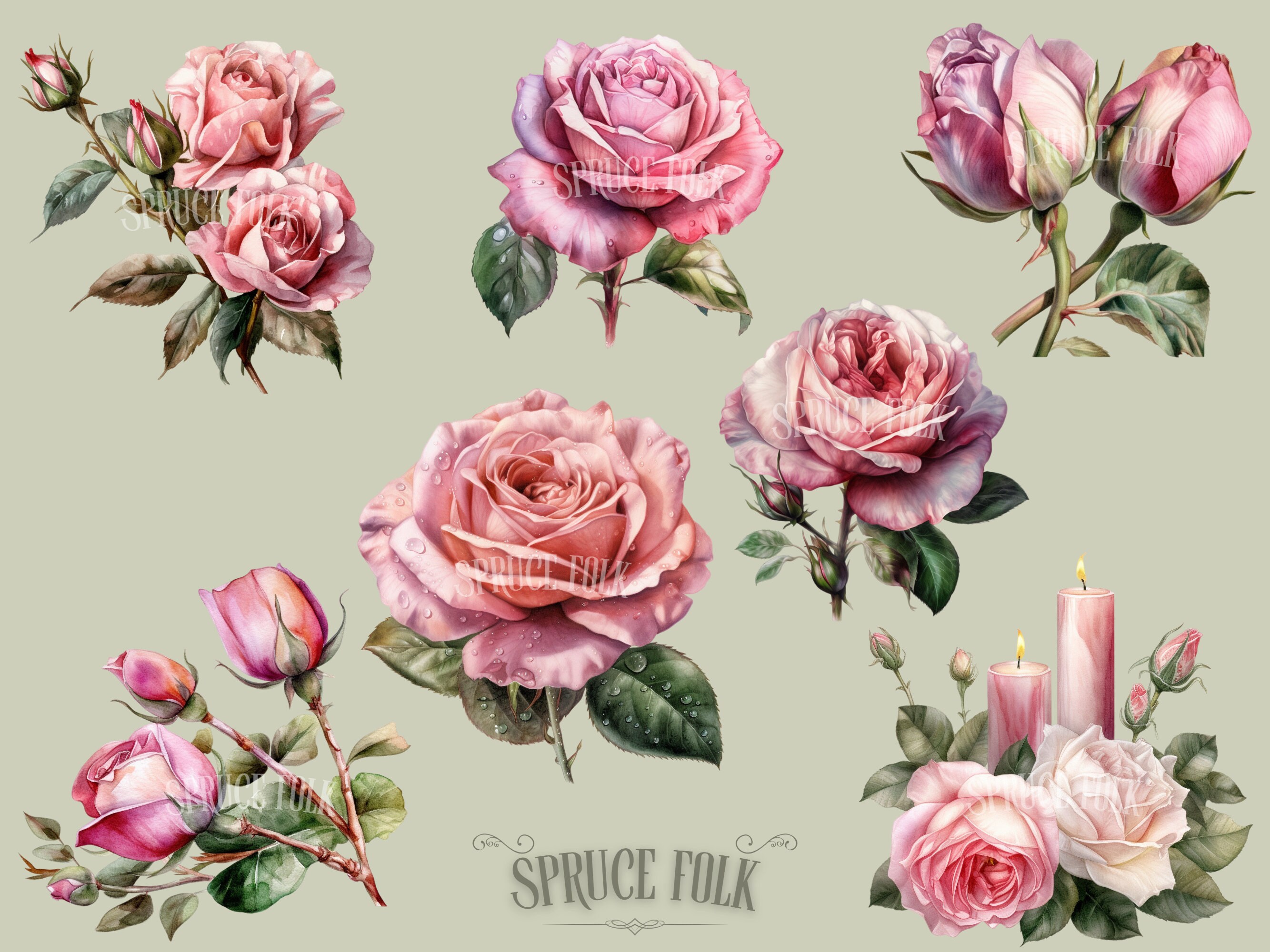 Watercolor Roses Themed Clipart | Collection of 25 | Rose Reverie ...