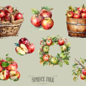 Watercolor Apple Themed Clipart | Collection of 25 | Apple of My Eye - Etsy