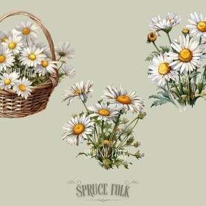 Watercolor Daisy Themed Clipart | Collection of 20 | Daisy Delight ...
