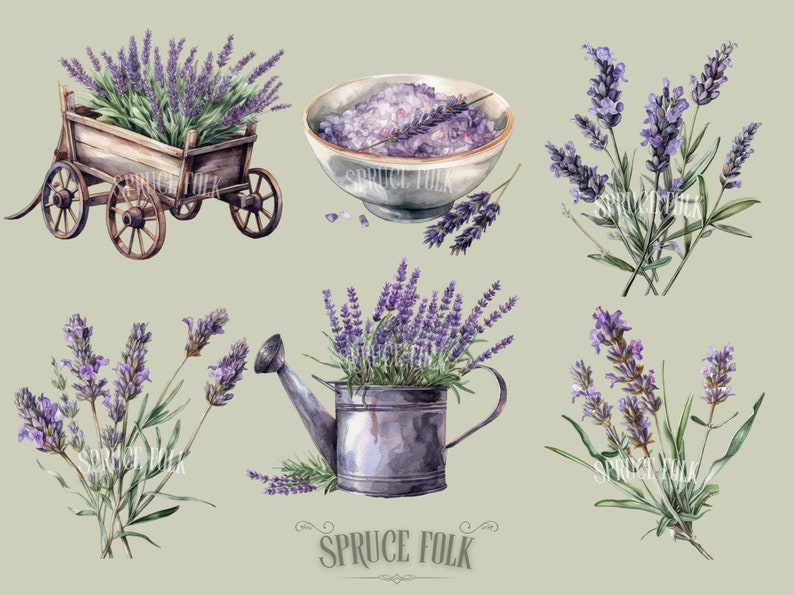 Watercolor Lavender Themed Clipart | Collection of 25 | Lavender Lane ...