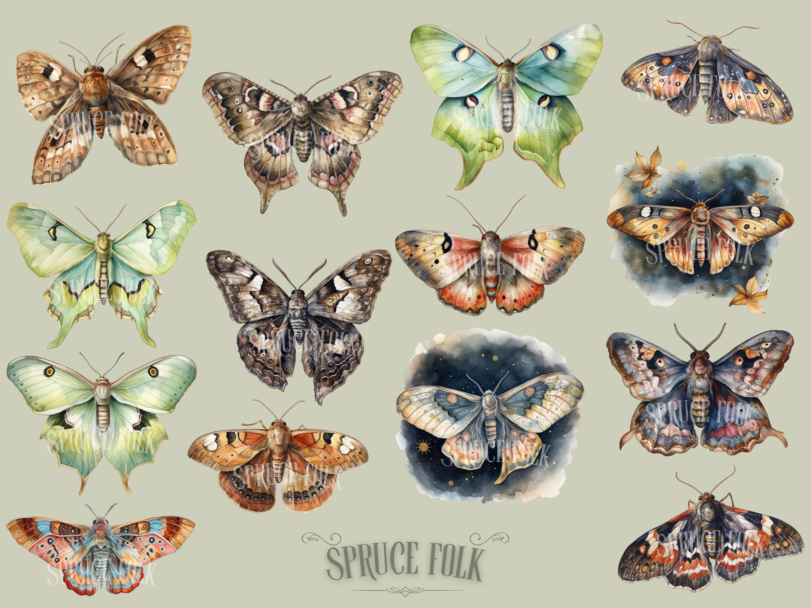 Watercolor Moth Themed Clipart Collection of 70 Moonlit Moths ...