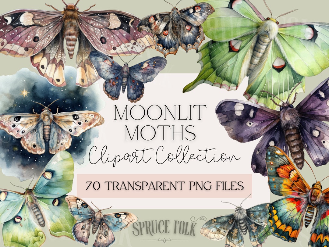 Watercolor Moth Themed Clipart | Collection of 70 | Moonlit Moths ...