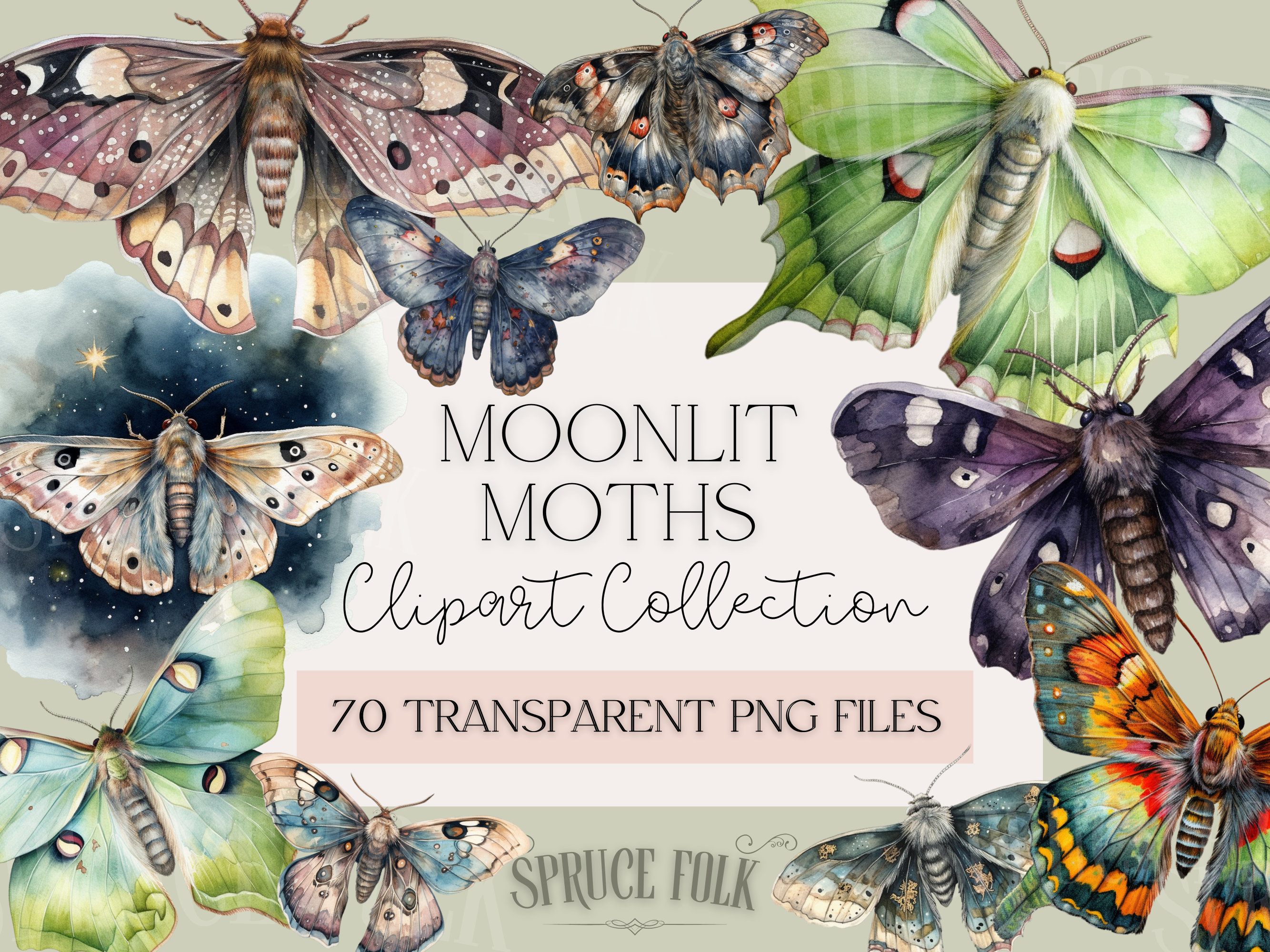 Watercolor Moth Themed Clipart | Collection of 70 | Moonlit Moths ...