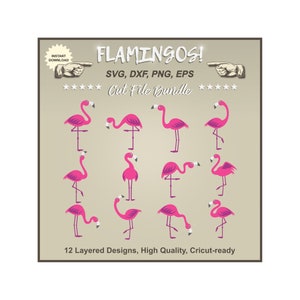 Flamingo SVG PNG Flamingo Bundle SVG Layered Cut - Etsy
