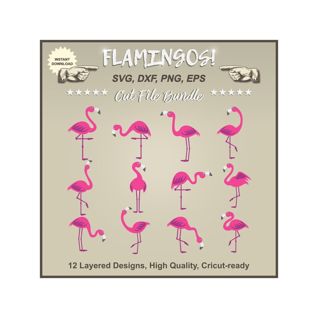 Flamingo SVG PNG Flamingo Bundle SVG Layered Cut File Pink Flamingo ...