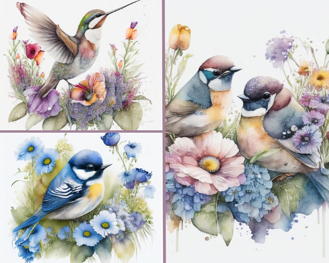 Cute Bird Watercolor Clipart Bundle, 10 Beautiful Transparent Pngs ...