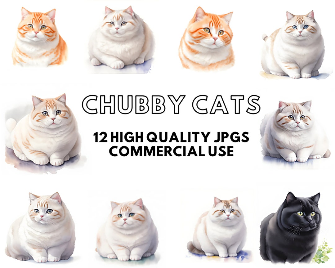 Chubby Cats Clipart Bundle, 12 High Quality Jpgs, Watercolor Clipart ...