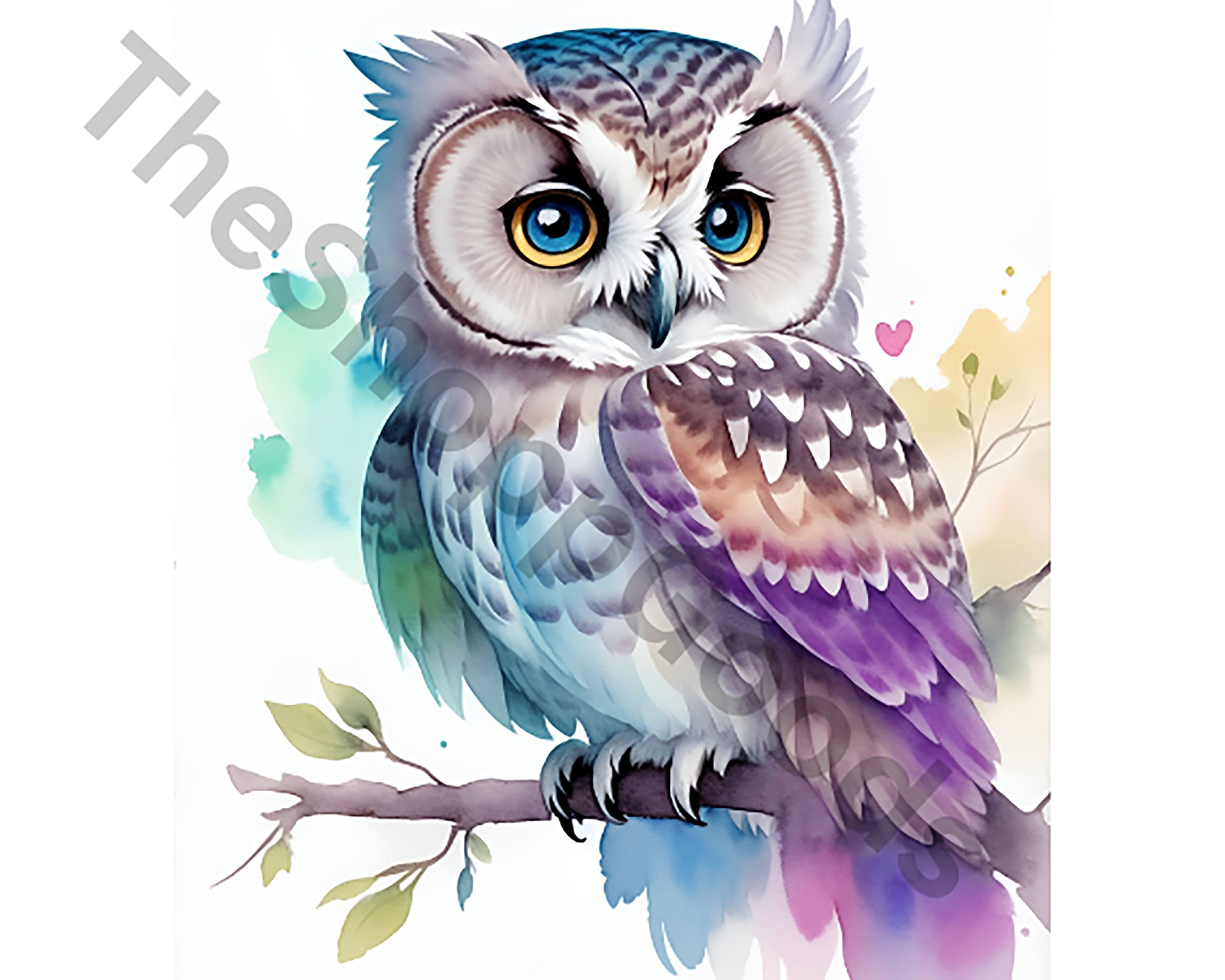 Colorful Owl Clipart Bundle, 12 High Quality Jpgs, Watercolor Clipart ...