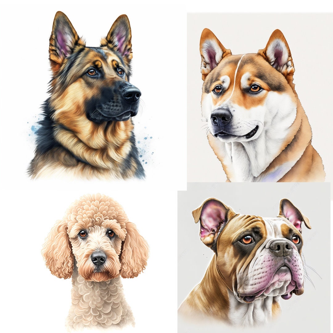 Assorted Dog Breeds Clipart Bundle 10 High Quality Pngs, Photoreal ...