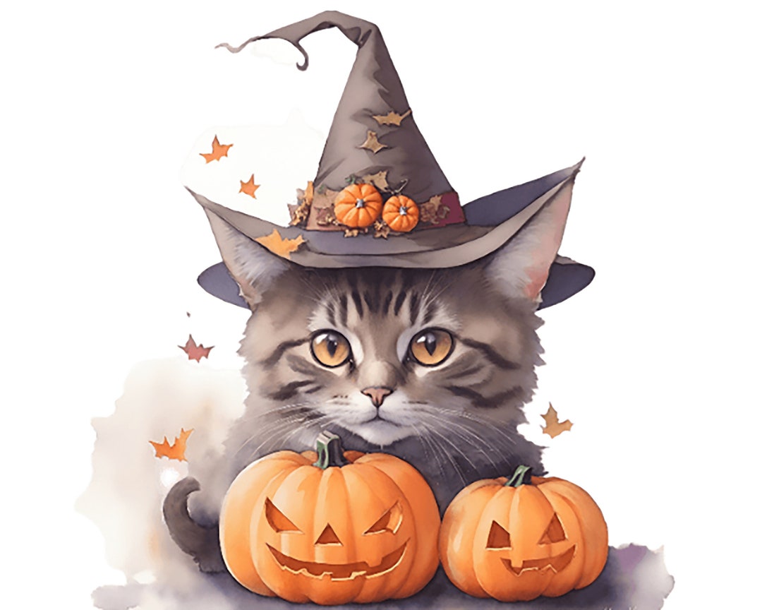 10 Halloween Cat Clipart, 10 High Quality Transparent Pngs/jpgs ...