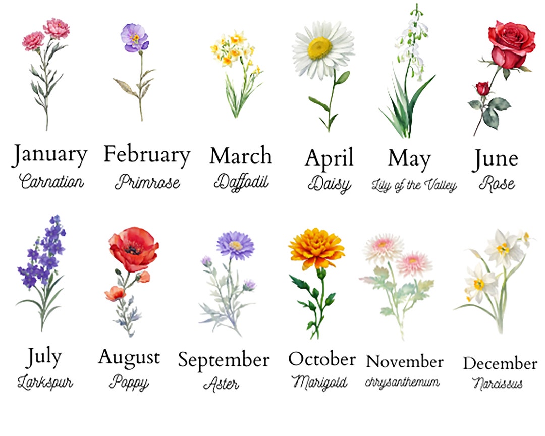 Birth Month Watercolor Flowers Clipart Bundle, Birth Flowers ...