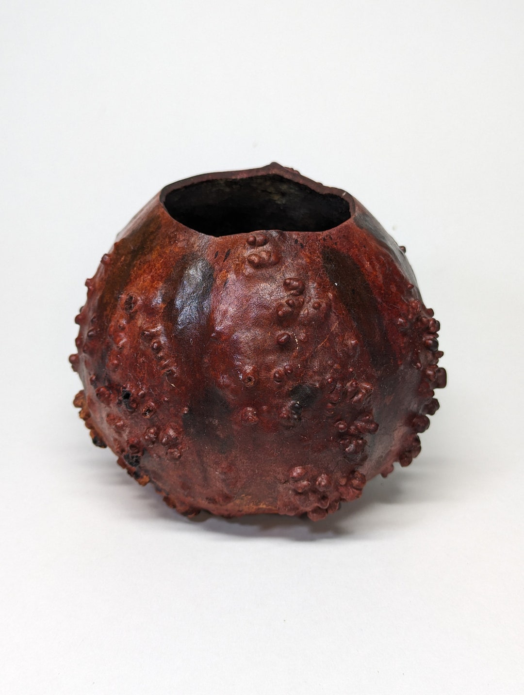 Knobby Crimson Gourd Planter Container Primitive Art Container - Etsy