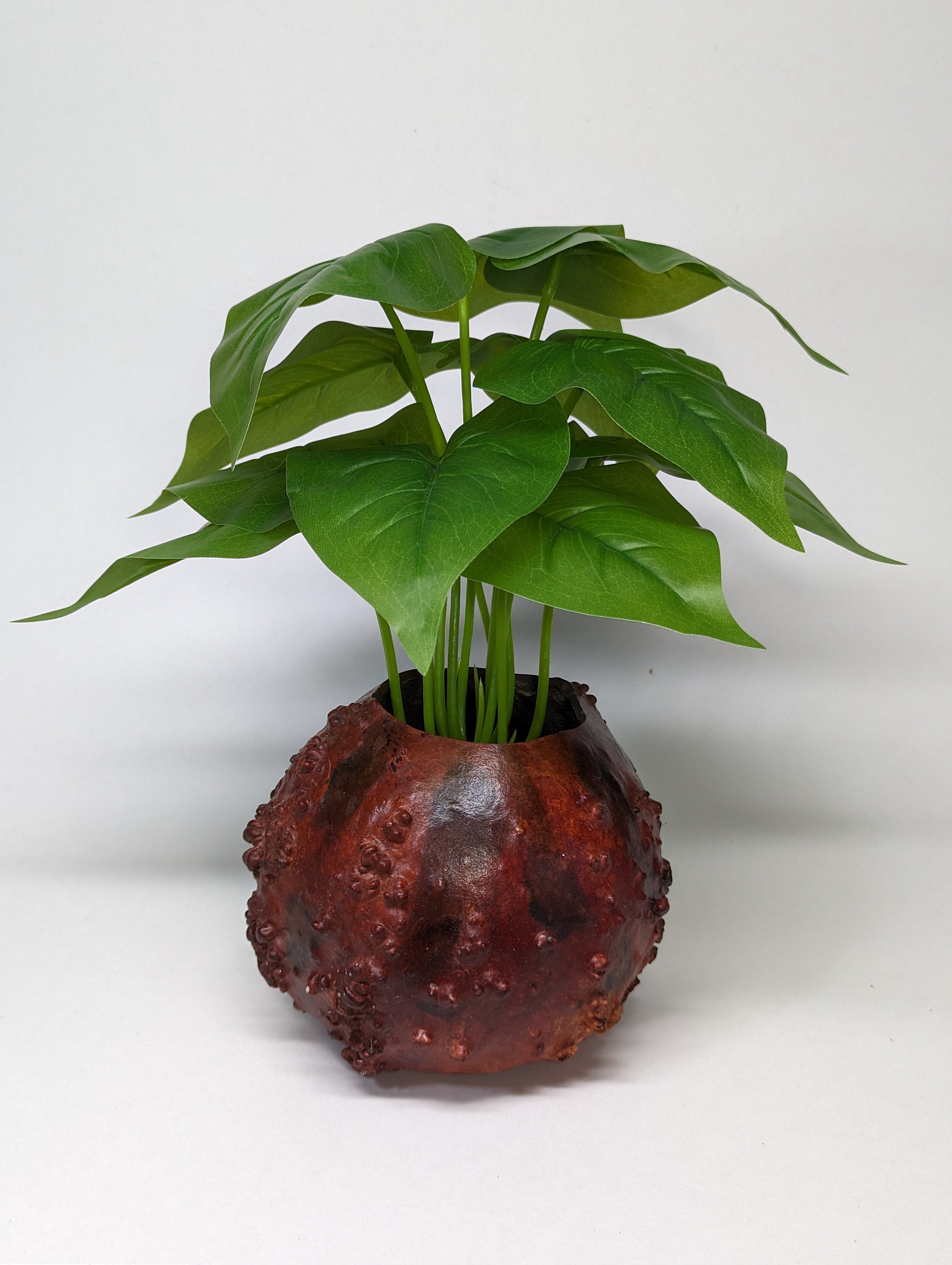 Knobby Crimson Gourd Planter Container Primitive Art Container - Etsy