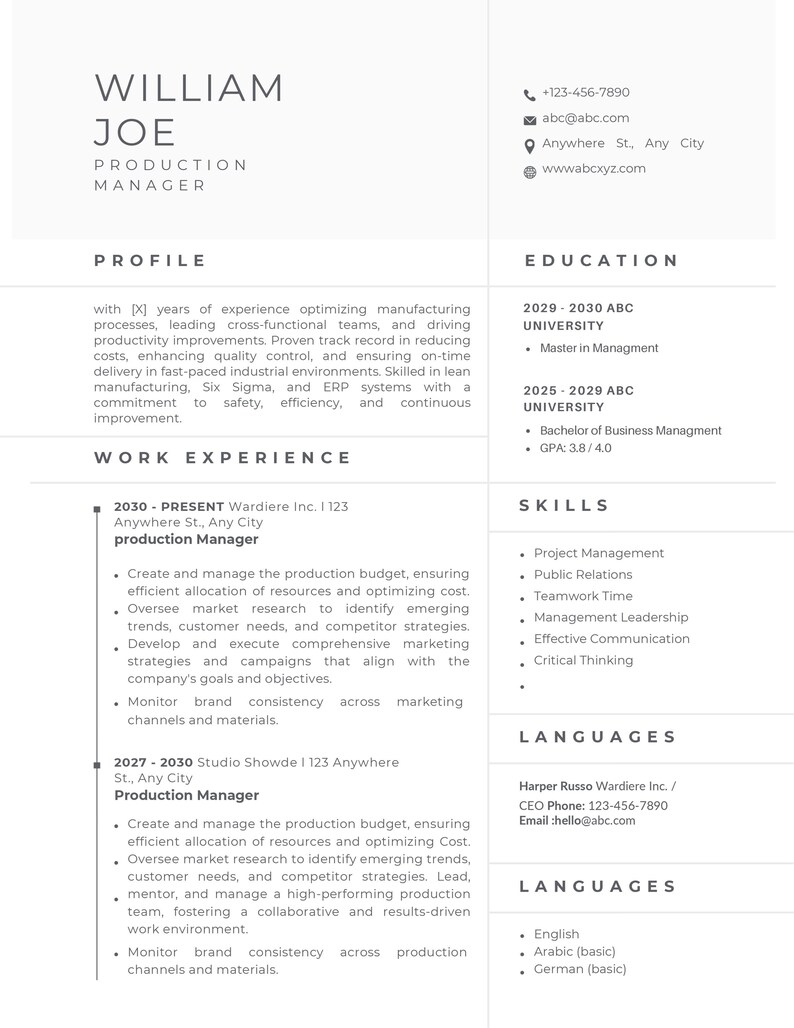 Professional Resume Template for in PDF Editable File in Canva and ...