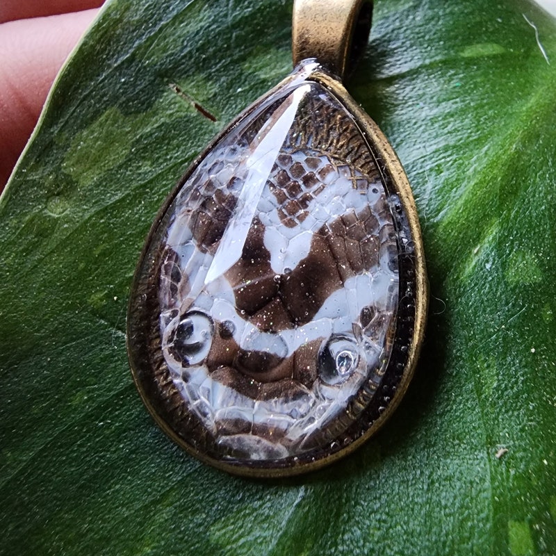Snake Shed Jewelry - Etsy