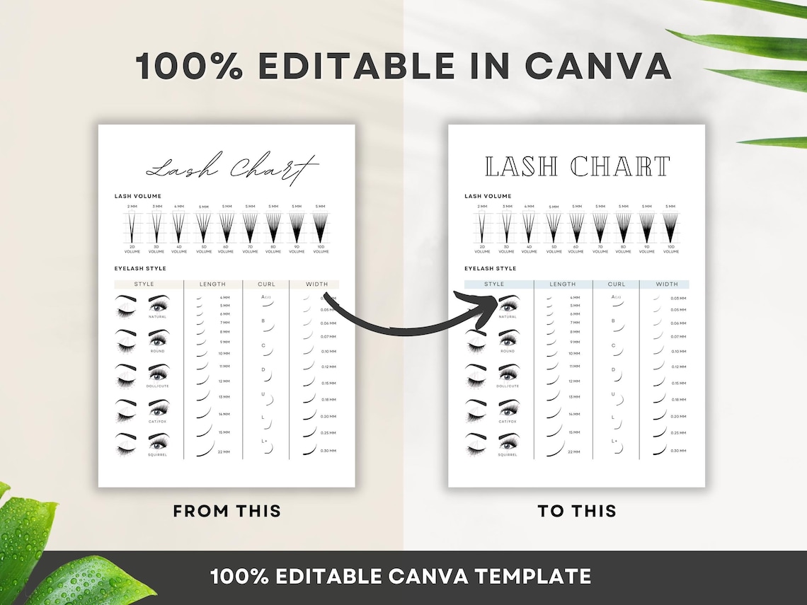 Printable Lash Chart Digital Eyelash Guide, Eyelash Extension Decor ...