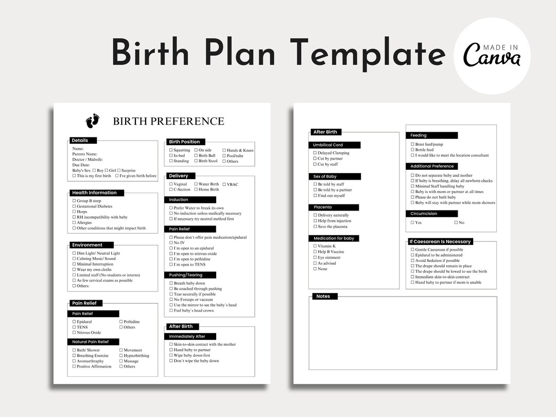 Birth Plan Editable Template, Pregnancy Baby Planner Printable Form ...
