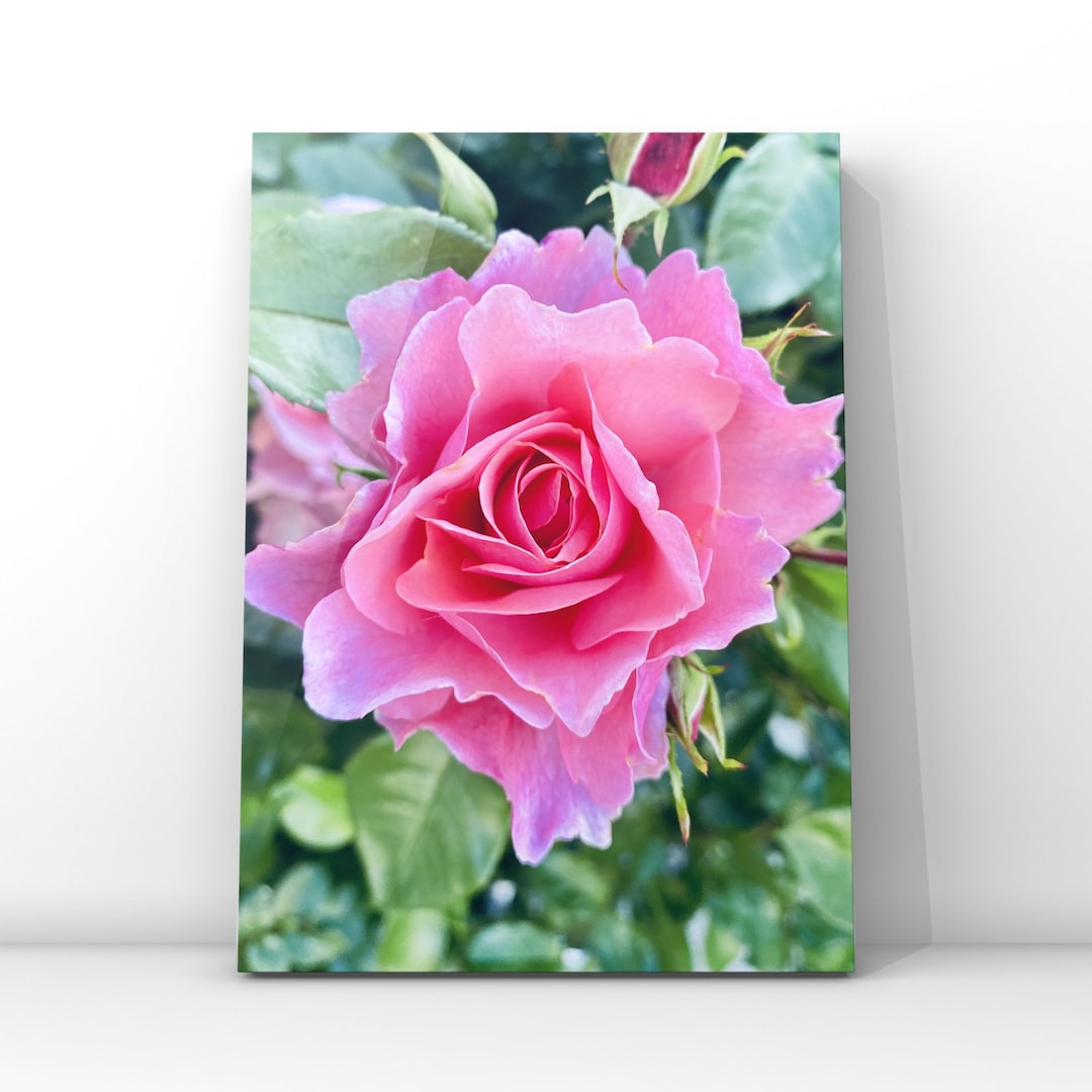 Pink Flower Wall Art, Printable Pink Flower Photo Art, Printable Flower ...