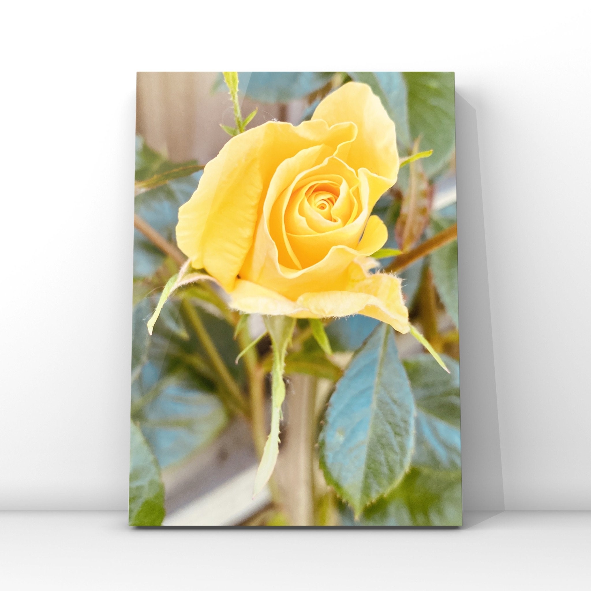 Printable Flower Photo Art, Printable Flower Photo, Digital Download ...