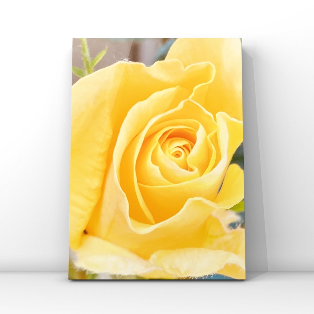 Printable Flower Photo Art, Printable Flower Photo, Digital Download ...