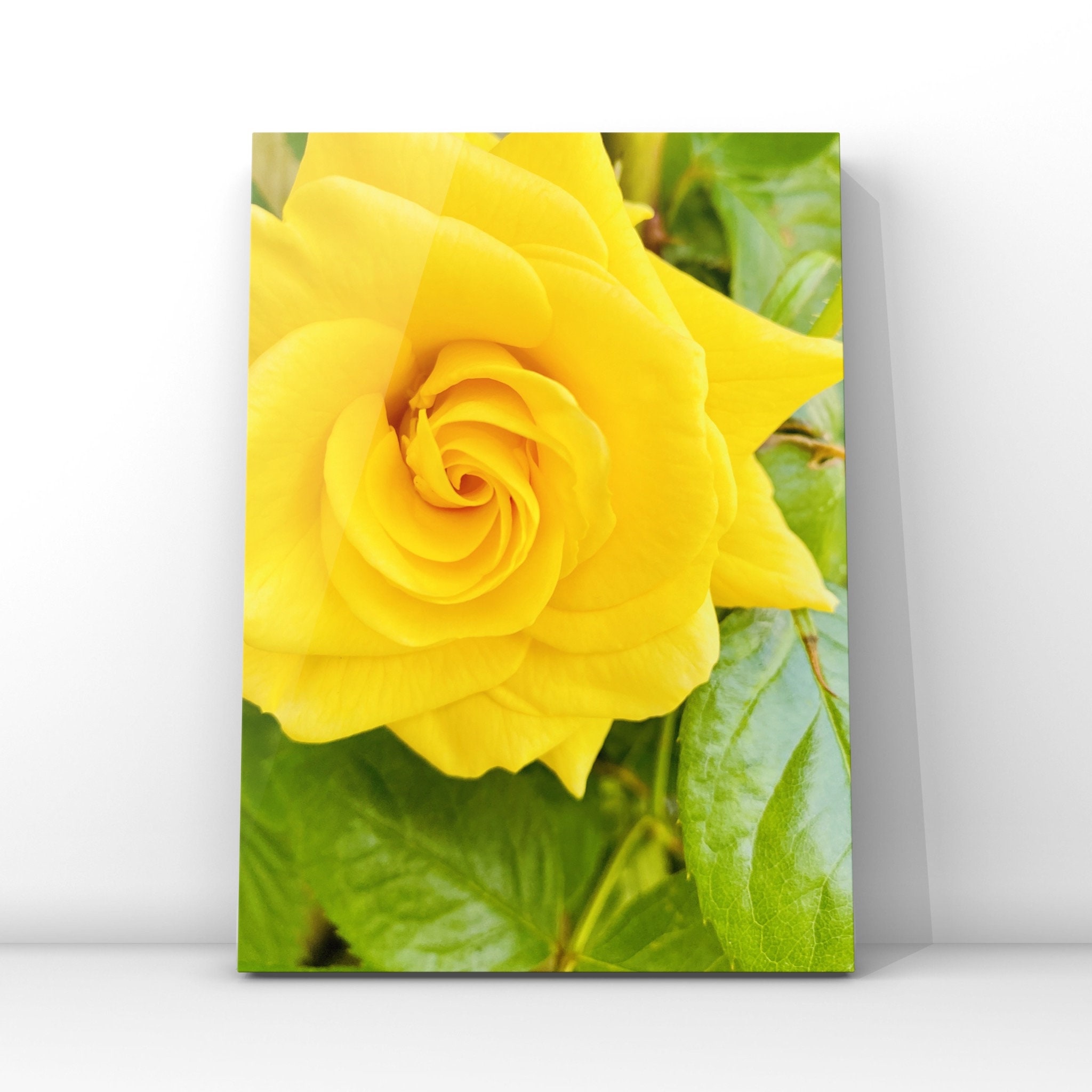 Yellow Flower Wall Art Printable Flower Photo Digital Download Stunning ...