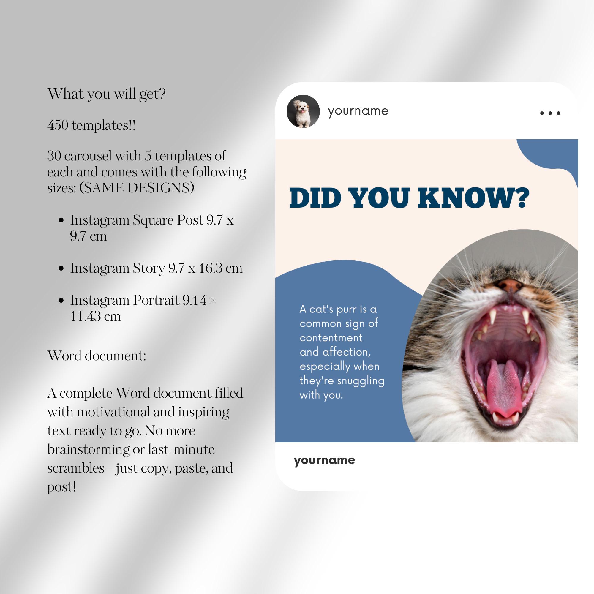 Pet Grooming Posts Instagram Templates for Dog Salon, Groomer Business ...