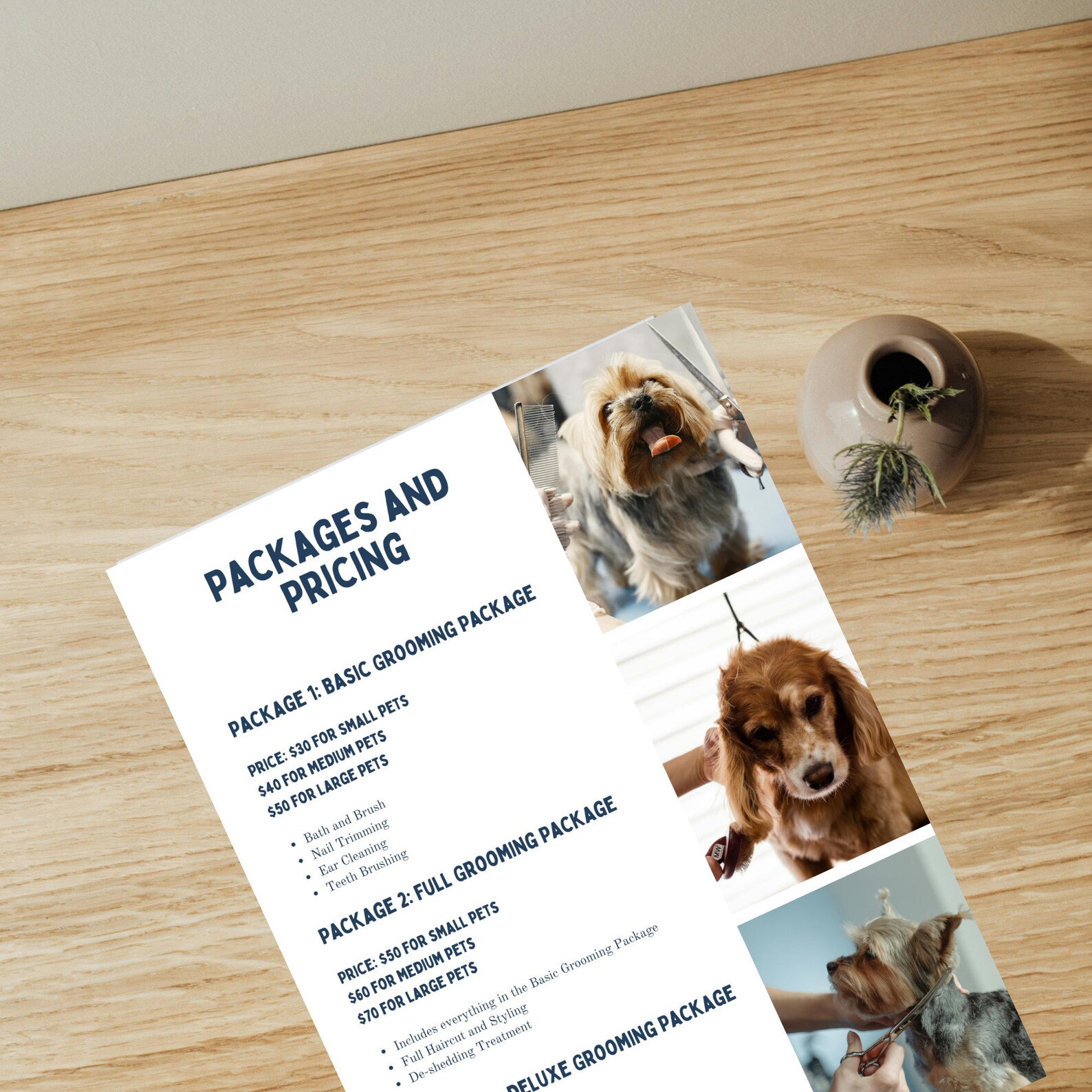 Dog Grooming Flyer Template, Pet Business Flyer Template, Dog Grooming ...