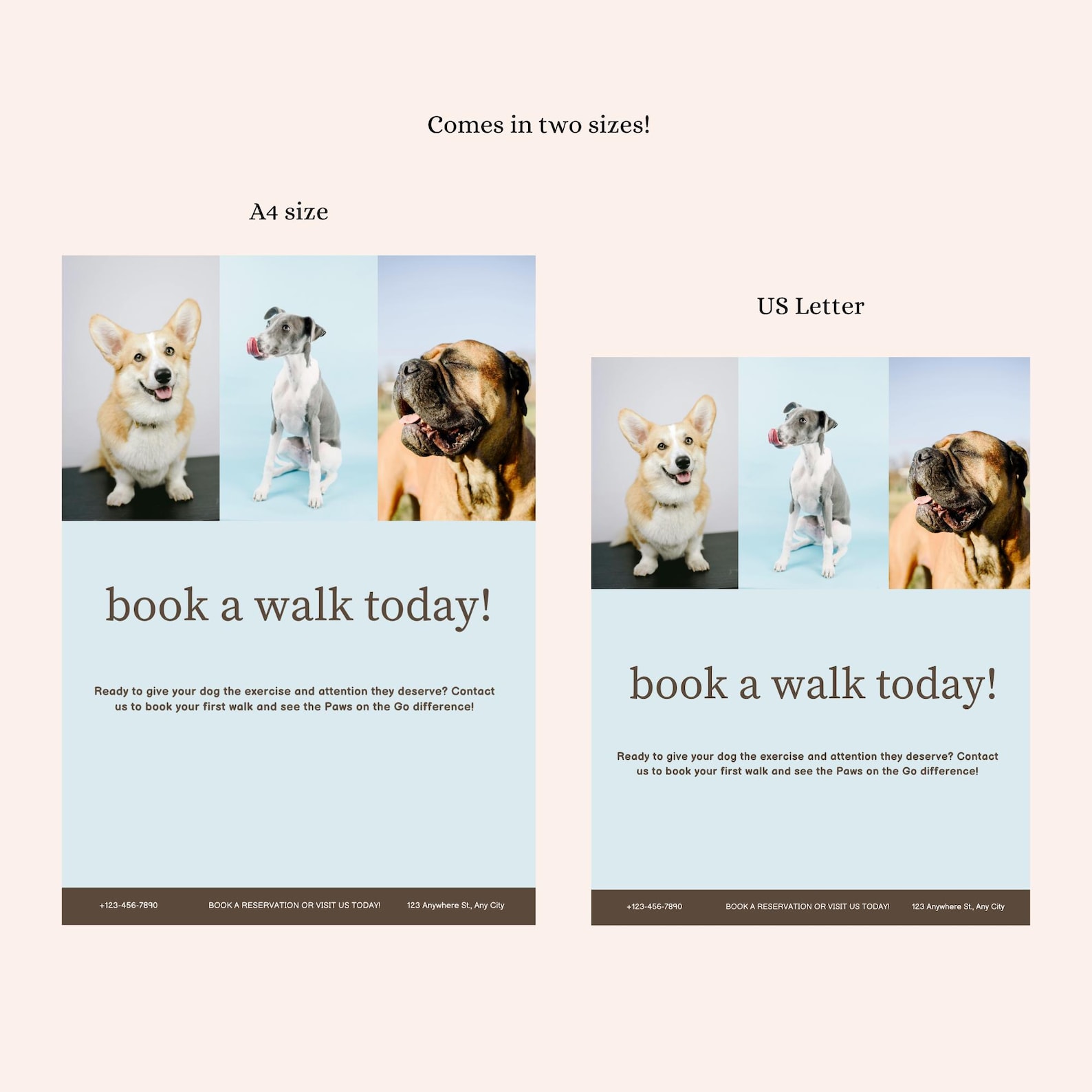 Dog Walker Flyer - Pet Care, Dog Walking, Pet Sitting Dog Walker Flyer ...