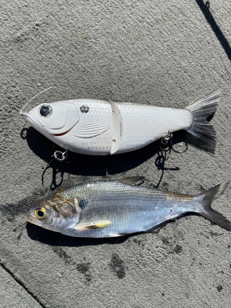 Custom Glide Bait/swim Bait - Etsy