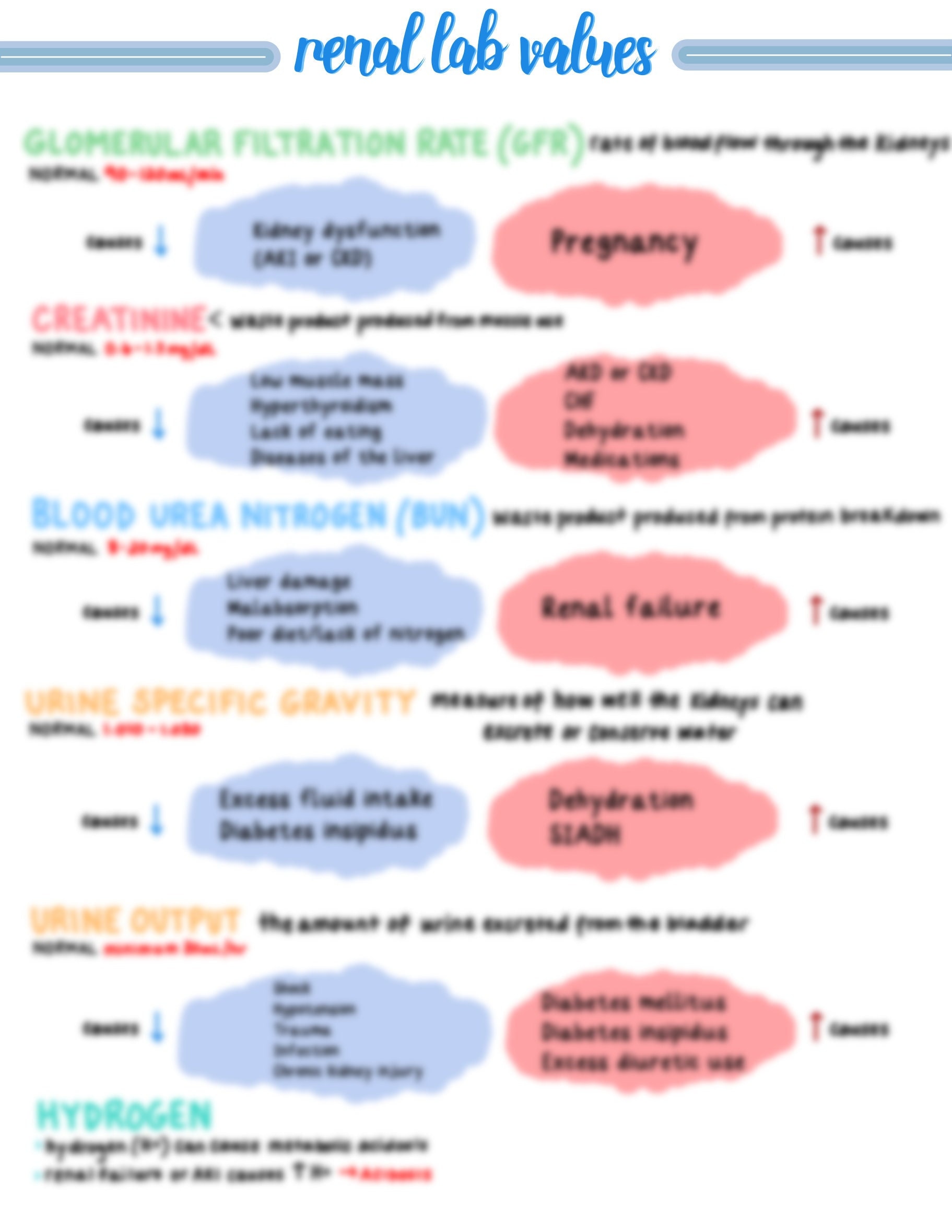 Handwritten Nursing Renal Lab Values Study Guide 1 Page - Etsy