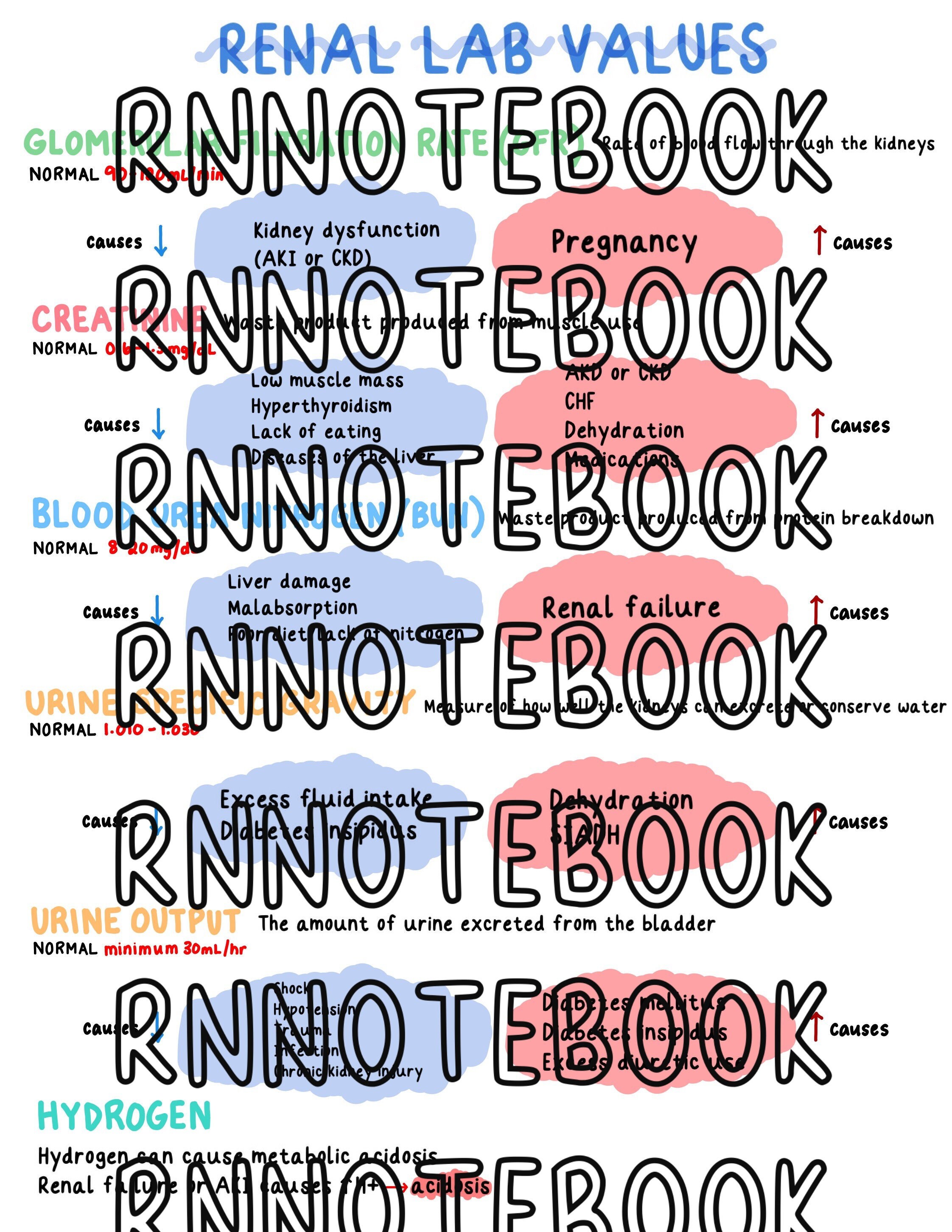 Handwritten Nursing Renal Lab Values Study Guide | 1 Page Digital ...