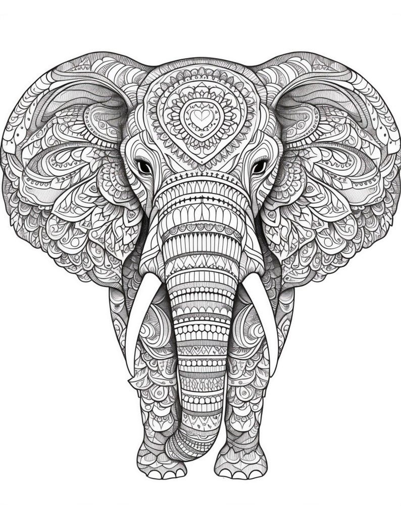 Mandala Infused Animals, 60 Coloring Pages, 20 Different Kinds of ...