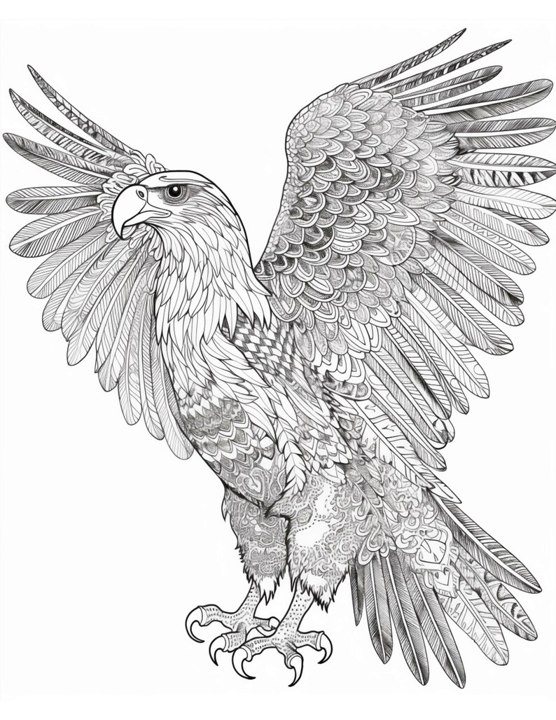 Mandala Infused Animals, 60 Coloring Pages, 20 Different Kinds of ...