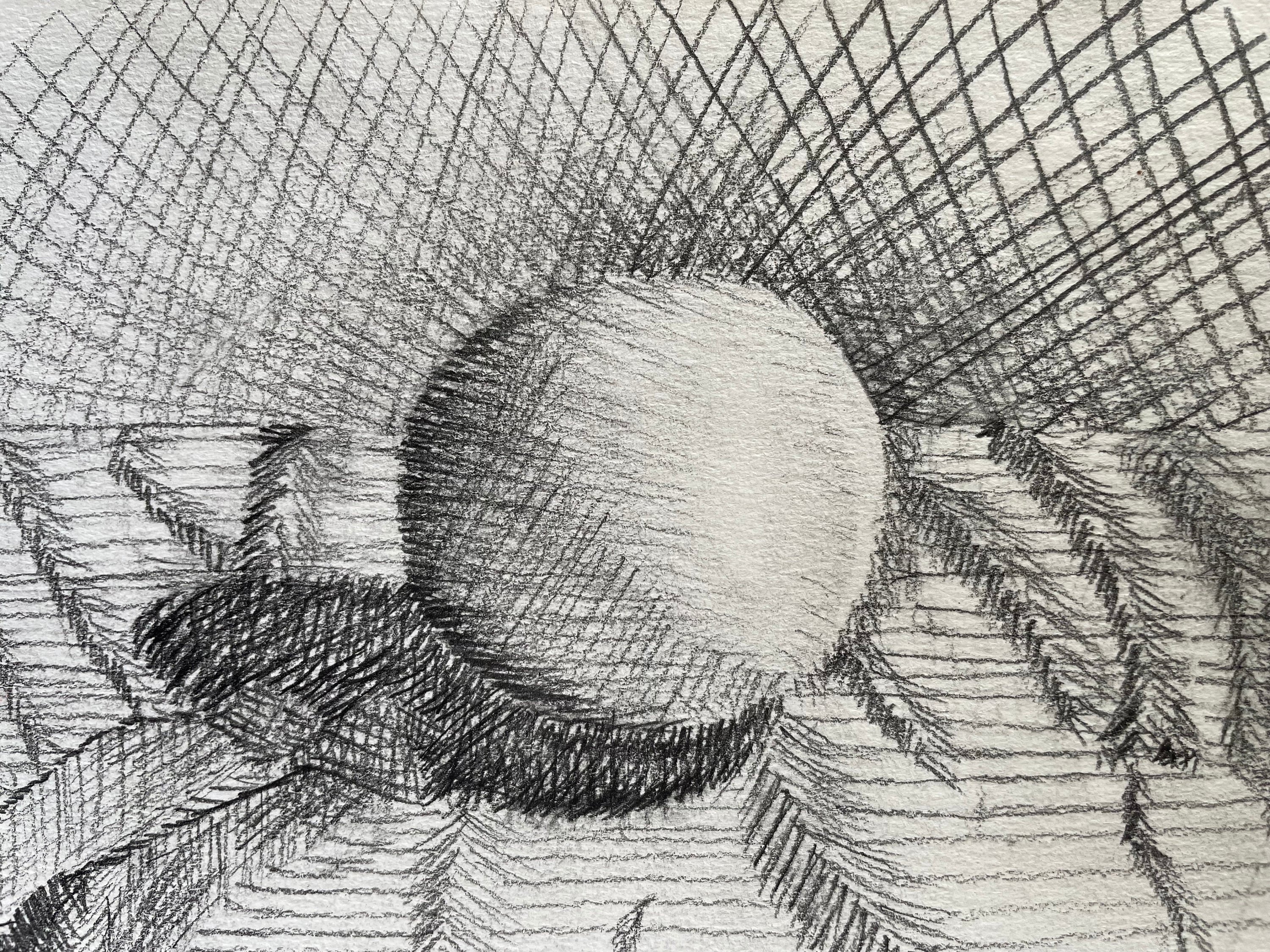 Foam Ball, Original 8x10 Still Life Drawing, Crosshatch Technique ...