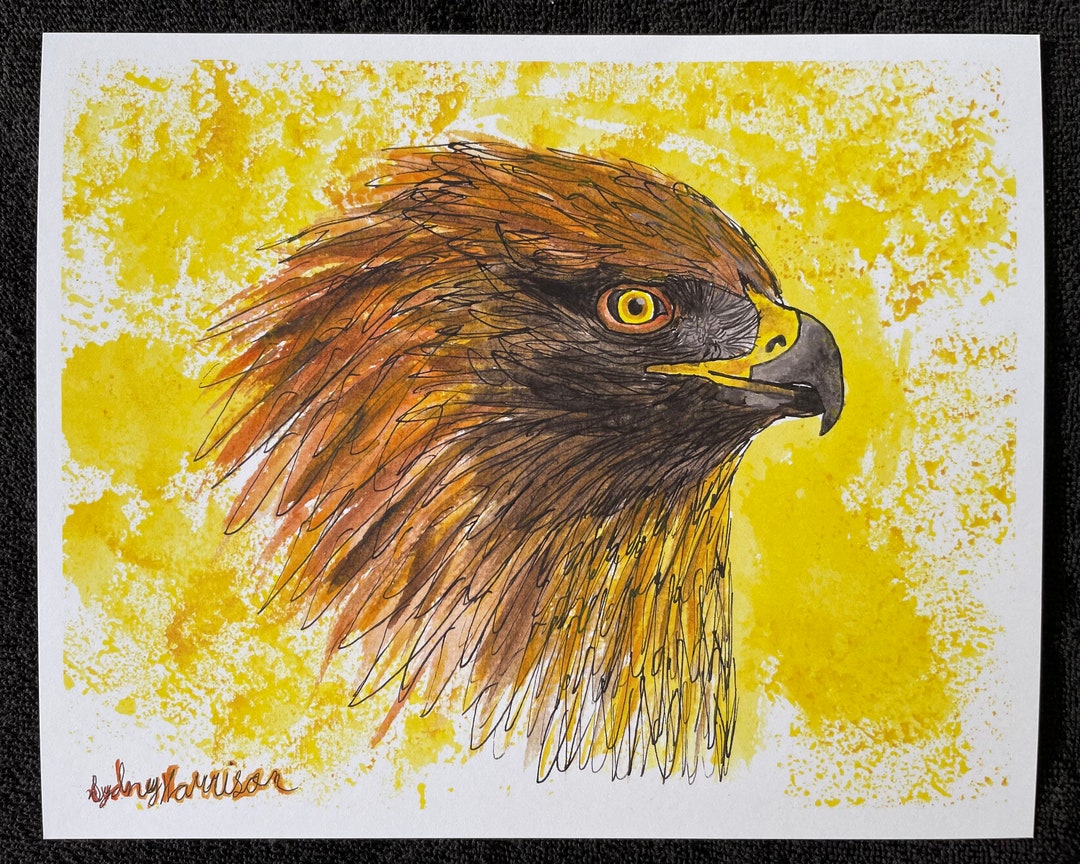 Golden Eagle, the University of Southern Mississippi, College Series ...
