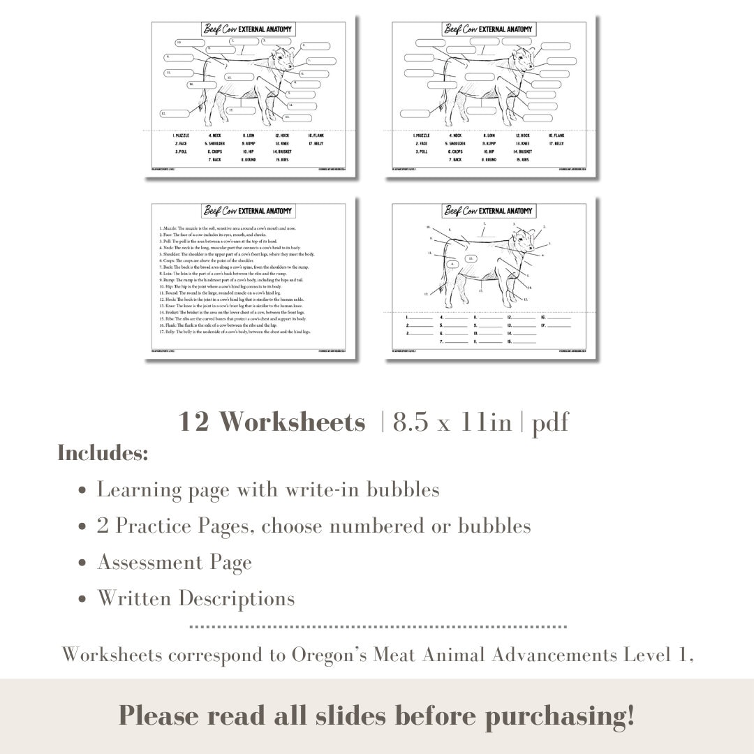PRINTABLE Meat Animal External Anatomy Bundle Hog, Beef Cow, Sheep ...