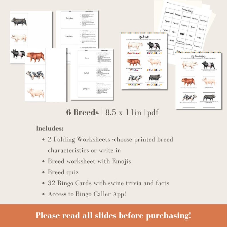 PRINTABLE Swine Breed Learning Worksheets and BINGO! - Etsy