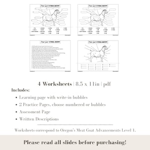 PRINTABLE Meat Goat External Anatomy - Level 1 - Etsy