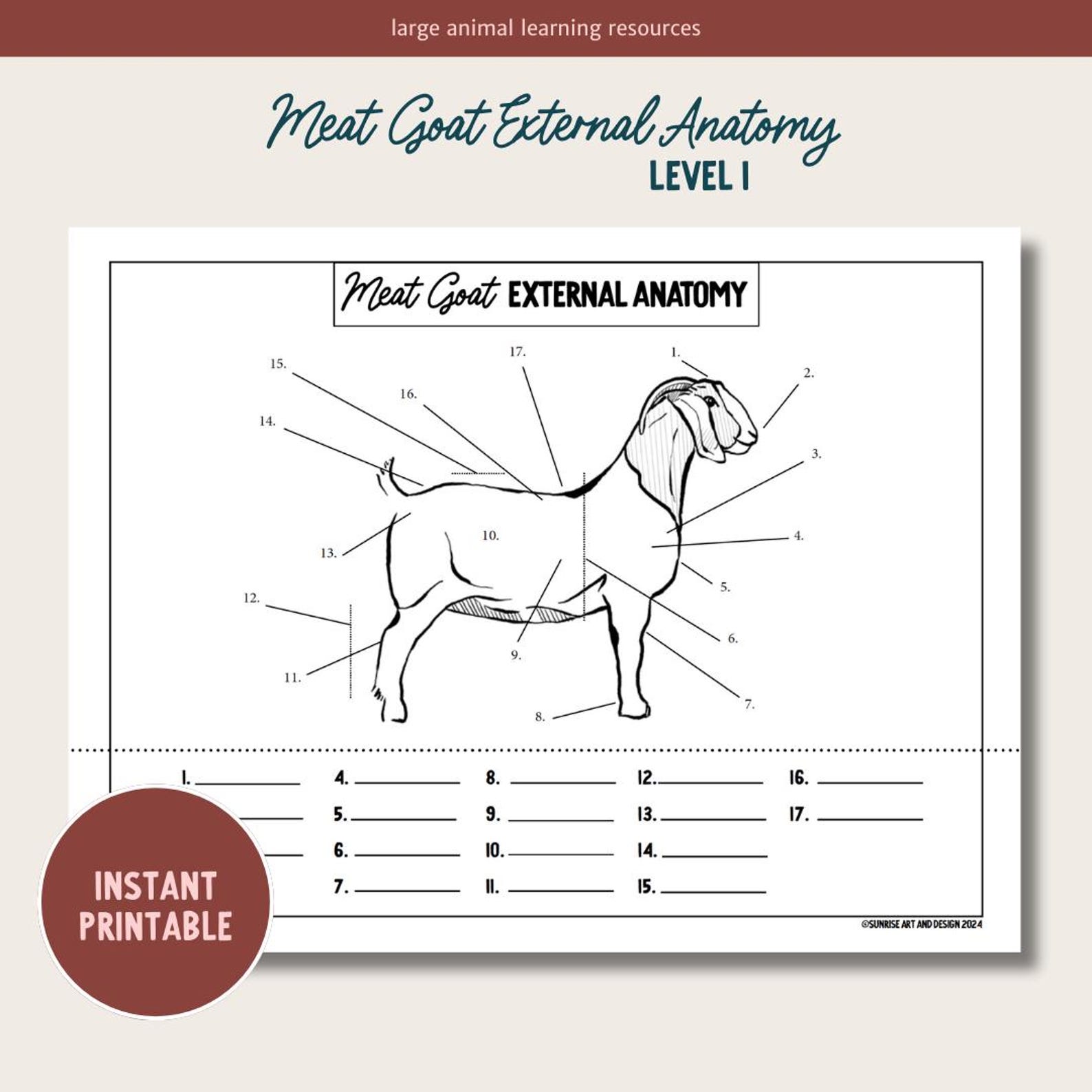 PRINTABLE Meat Goat External Anatomy - Level 1 - Etsy
