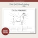 PRINTABLE All Large Animal External Anatomy Bundle Hog, Beef Cow, Sheep ...