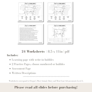 PRINTABLE All Large Animal External Anatomy Bundle Hog, Beef Cow, Sheep ...