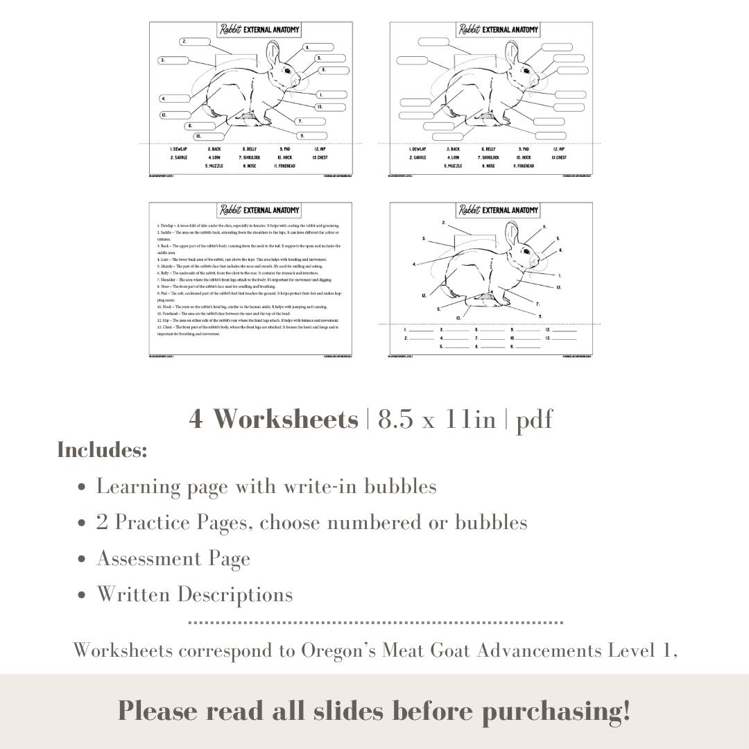 PRINTABLE Rabbit External Anatomy - Level 1 - Etsy