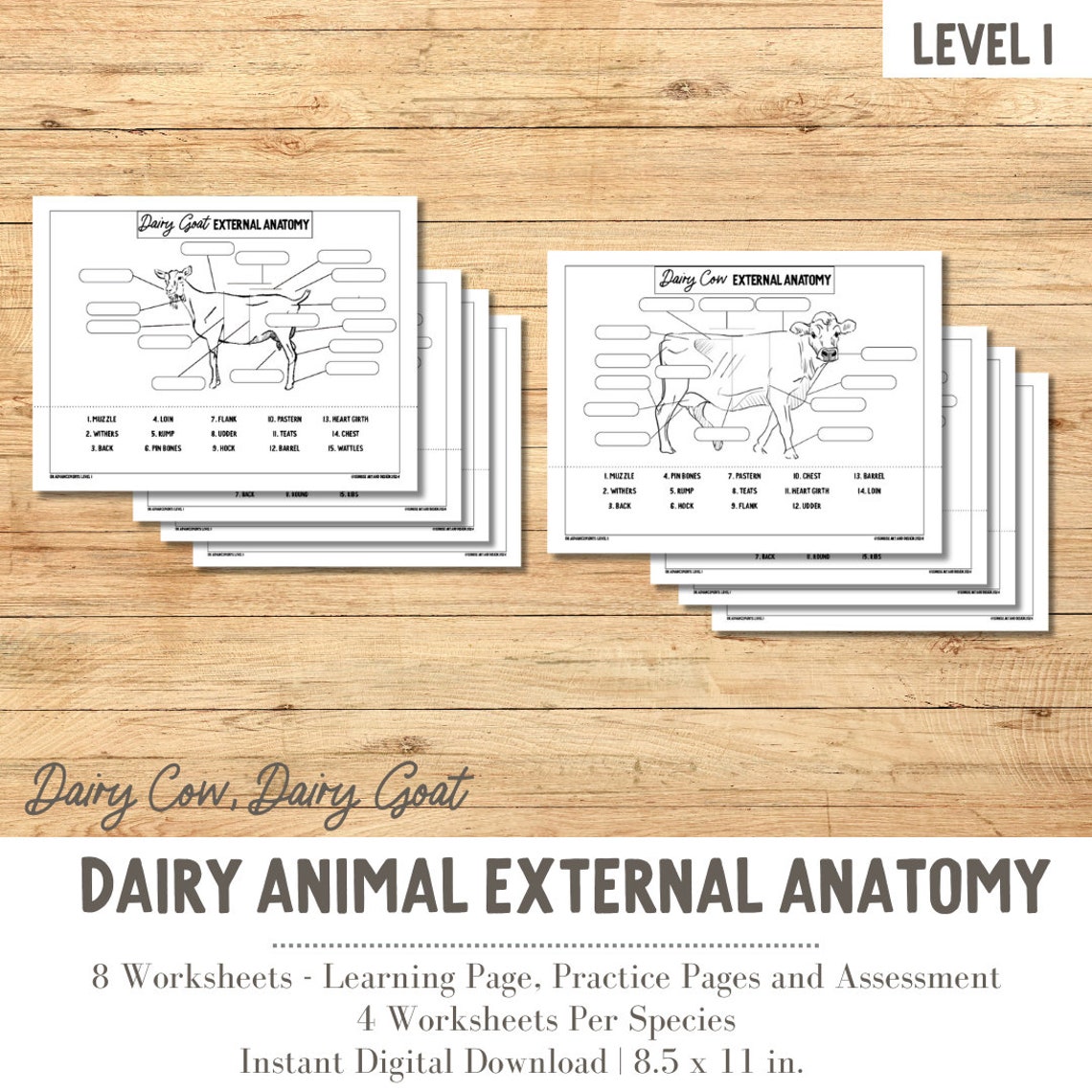PRINTABLE Dairy Animal External Anatomy Bundle Dairy Cow and Dairy Goat ...