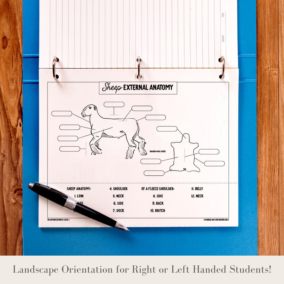 PRINTABLE Sheep External Anatomy - Level 1 - Etsy