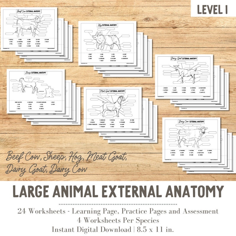 Livestock - Etsy